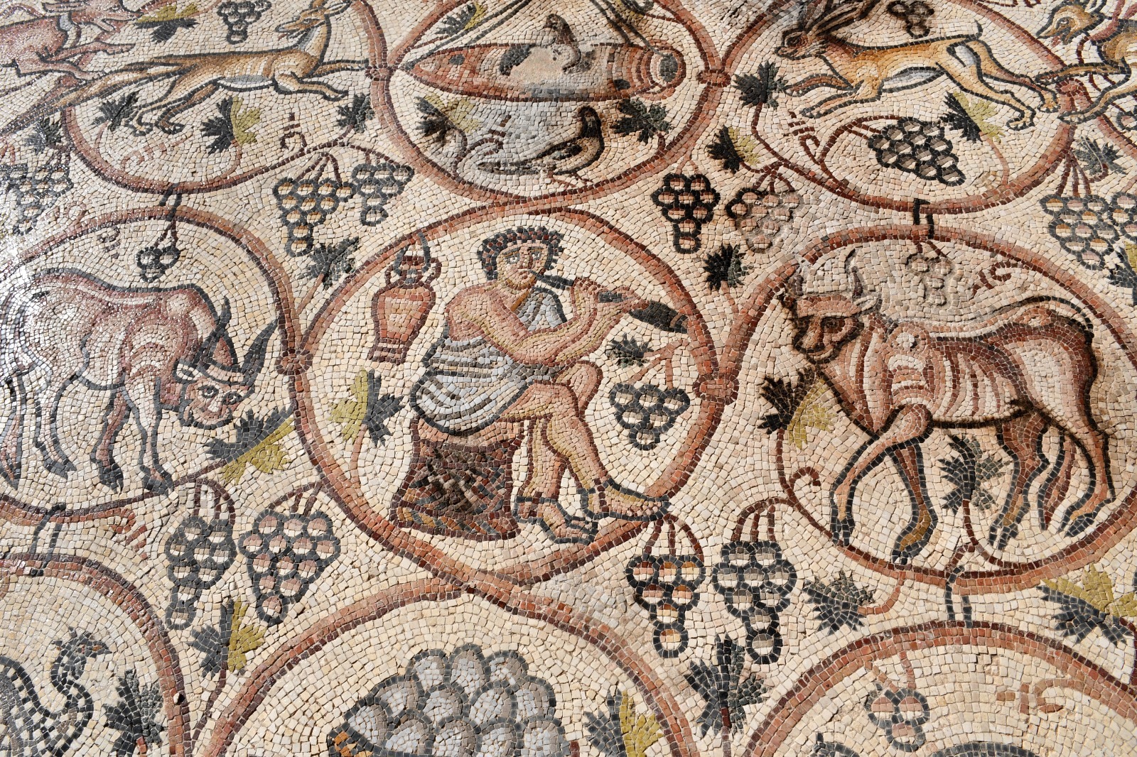 ‘A Spectacular Work of Art’: Israel Unveils Restored Byzantine Era Mosaic